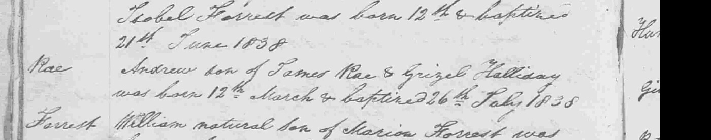 Andrew Rae 1838-1873 | Shaking The Branches